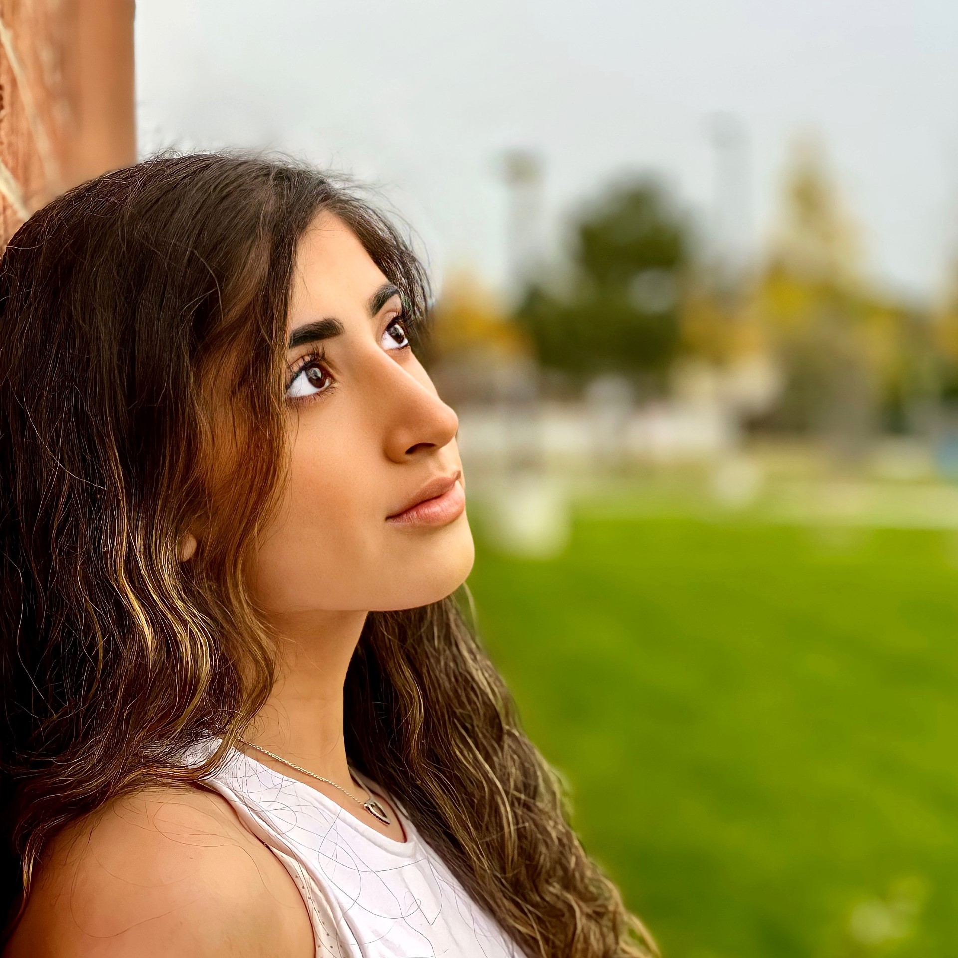 Board of Directors & Staff – Chaldean Cultural Center